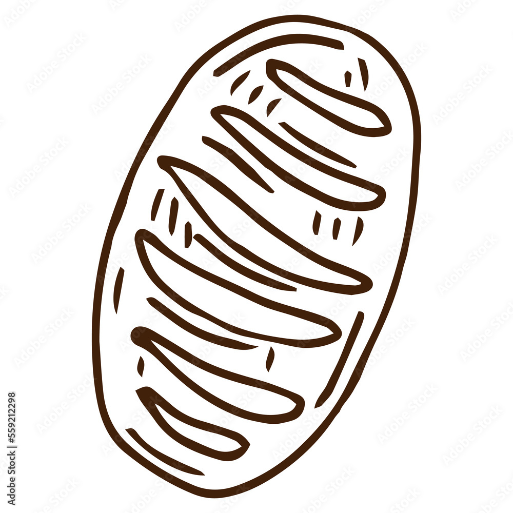 Bread vector drawing. Bakery product sketch. Vintage food illustration ...
