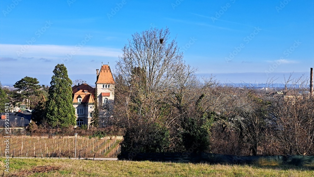 Schloss im Weingarten Stock Photo | Adobe Stock