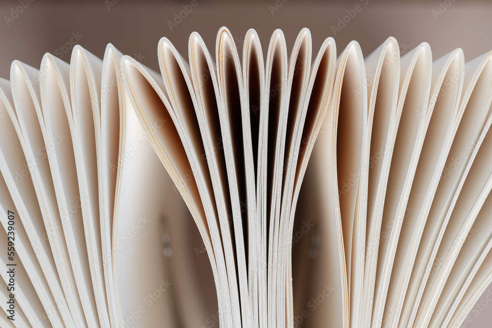 Photo & Art Print folded paper into what are known as "signatures" in ...