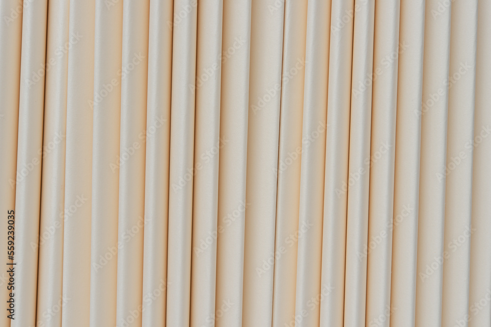 folded paper into what are known as "signatures" in bookbinding - spine ...