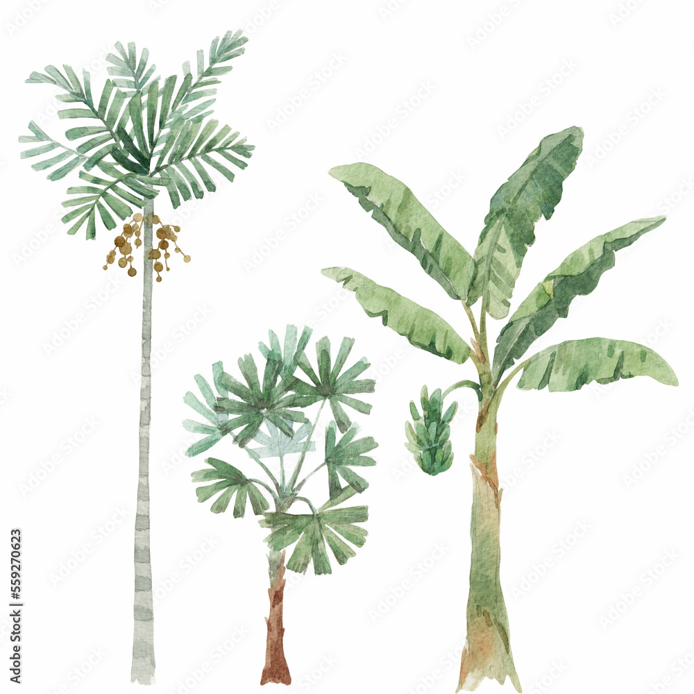 Beautiful stock clip art illustration with watercolor hand drawn ...