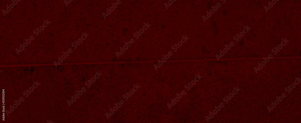 Dark Red horror scary background with copy space for text, image ...