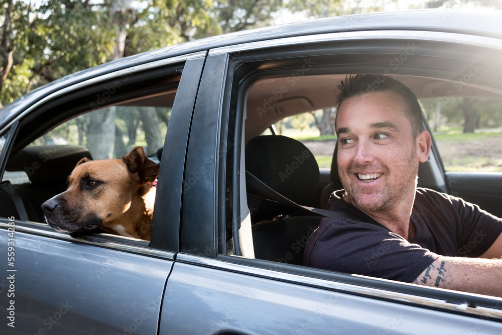 Dog and Smiling Man sitting in Silver Car Stock Photo | Adobe Stock