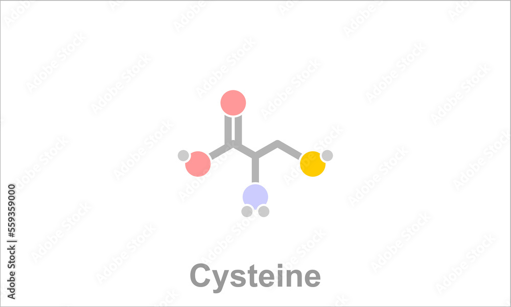 Simpliefied formula icon of the amino acid cysteine. Stock Vector ...