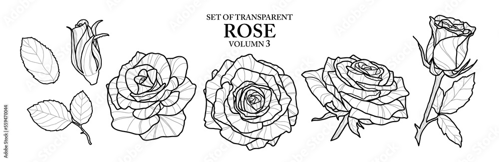Cute hand drawn isolated black outline rose on transparent background ...