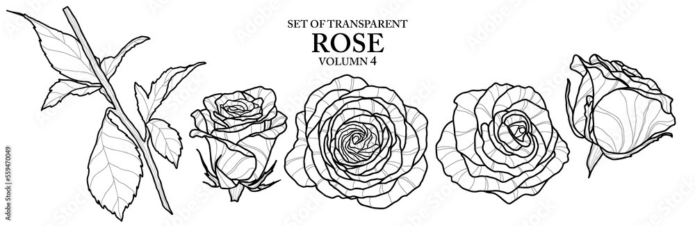 Cute hand drawn isolated black outline rose on transparent background ...