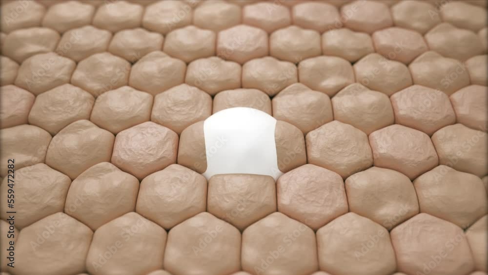 Restoration of the skin structure. Rejuvenation. Animation serum ...