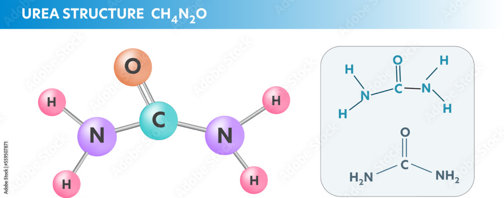 Urea, Carbamide. Structural chemical molecule formula, Vector ...