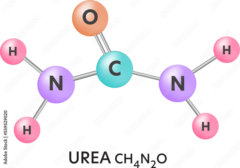 Urea, Carbamide. Structural chemical molecule formula, Vector ...