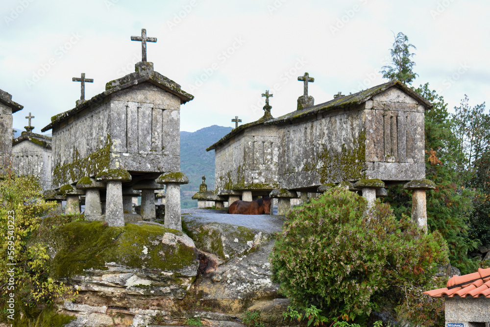 In nature, light creates the color. In the picture, color creates the ...