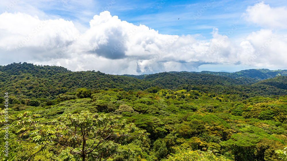 aerial photo of monteverde national park in costa rica, famous cloud ...