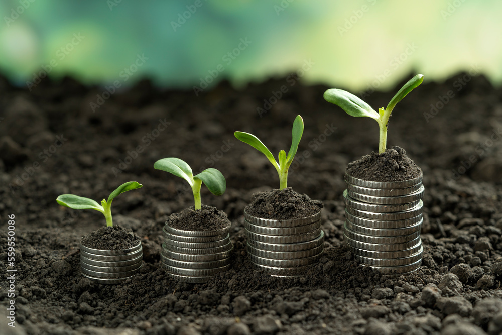 Money growth in soil with green leaves and trees concept, business and ...