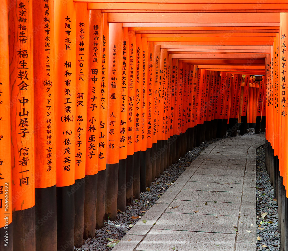Fushimi, Kyoto, Kansai Region, Japan, Asia - Torii gates leading to ...