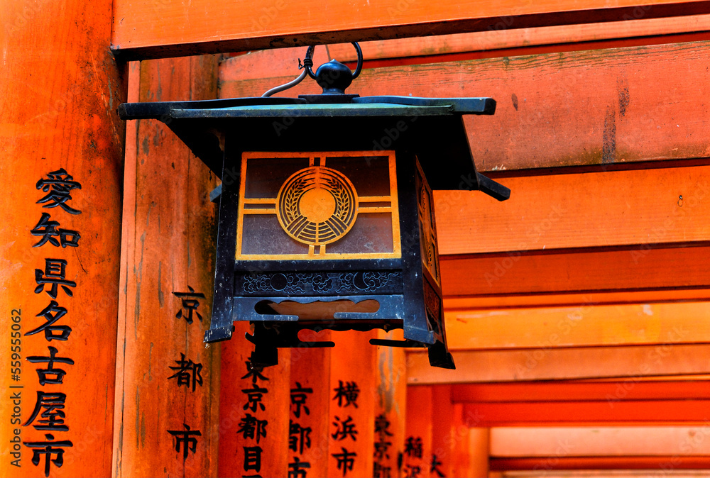 Fushimi, Kyoto, Kansai Region, Japan, Asia, Lantern hanging in Torii ...