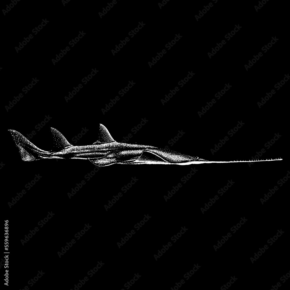 Sawfish hand drawing vector isolated on black background. Stock Vector ...