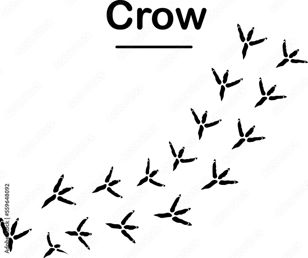 Crow paw print vector icon. Crow flat sign. Animal footprint. Crow ...