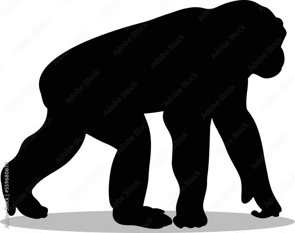 Vetor do Stock: Chimpanzee Silhouette, cute Chimpanzee Vector ...