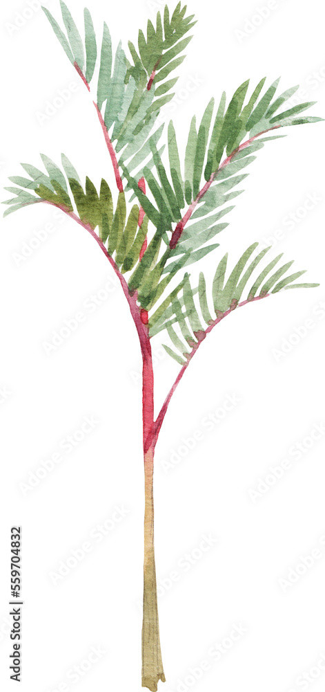 Beautiful PNG stock clip art illustration with watercolor hand drawn ...