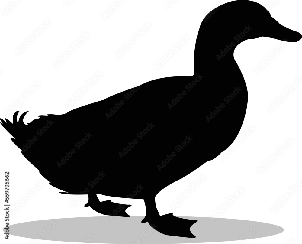 Ducks Silhouette, cute Ducks Vector Silhouette, Cute Ducks cartoon ...