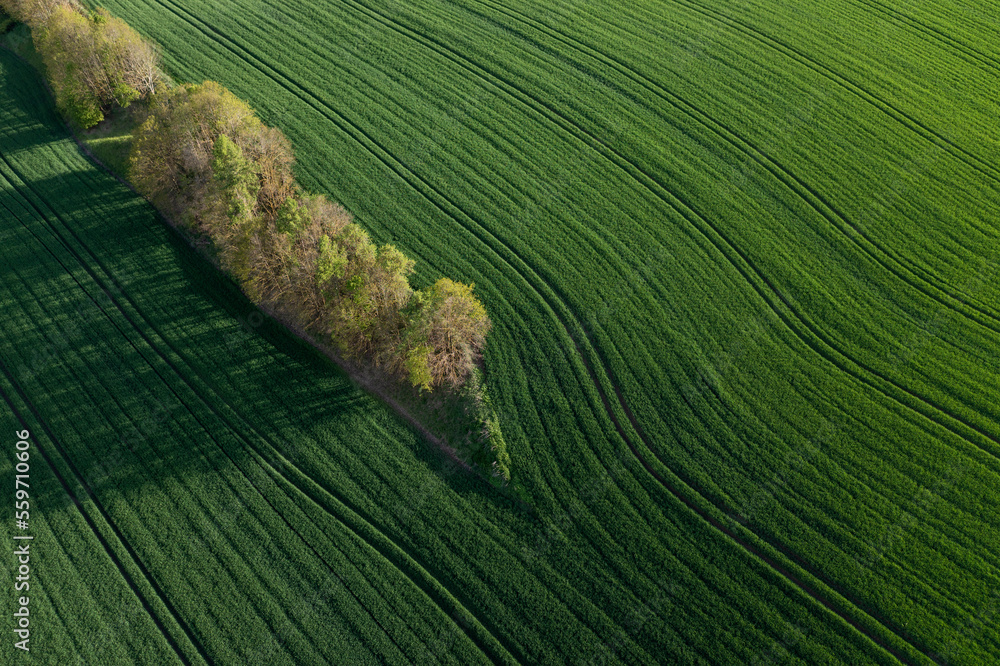 Germany, Bavaria,Aerial view of green countryside fields in spring ...