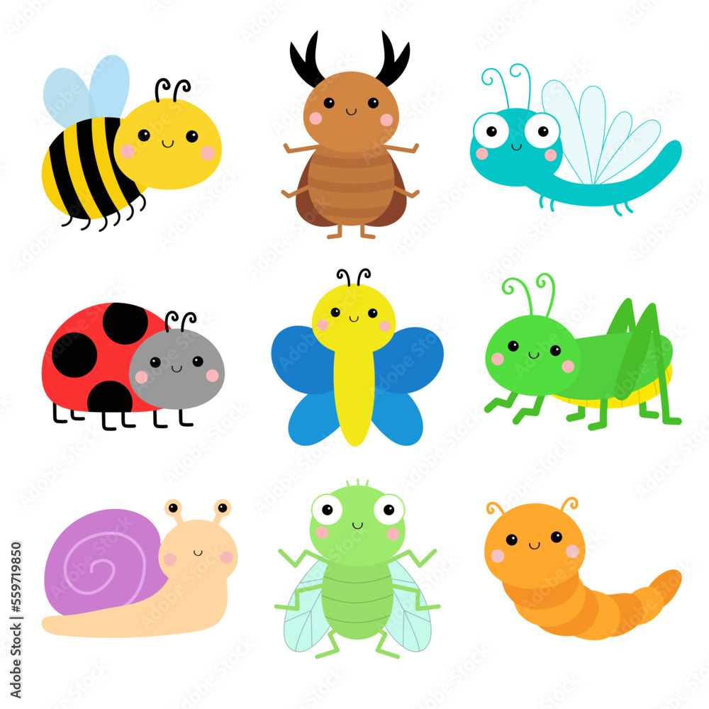 Fly housefly bee, bumblebee grasshopper, dragonfly, snail, ladybug ...