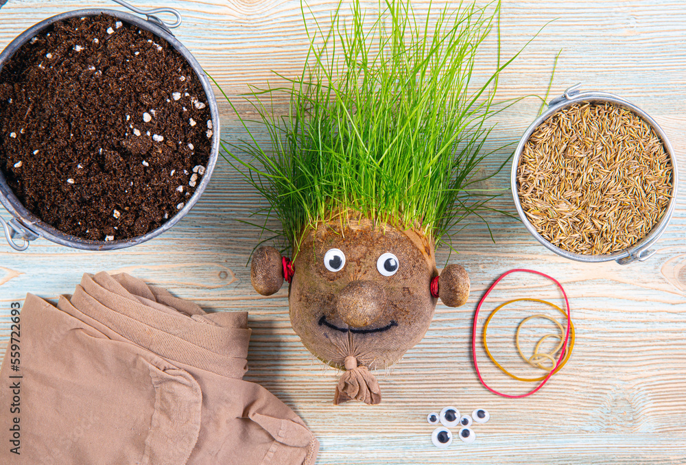 Making of cute homemade grass head toy with various supply tools. Grass ...