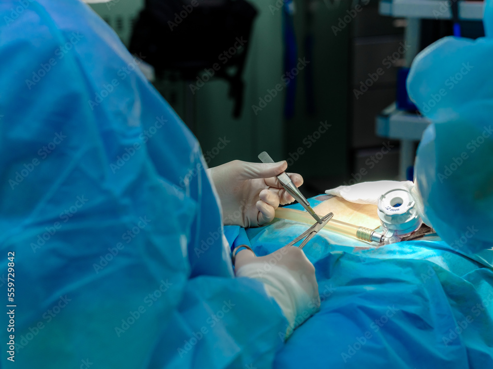 Surgical scissors and tweezers in the hands of a surgeon during a ...