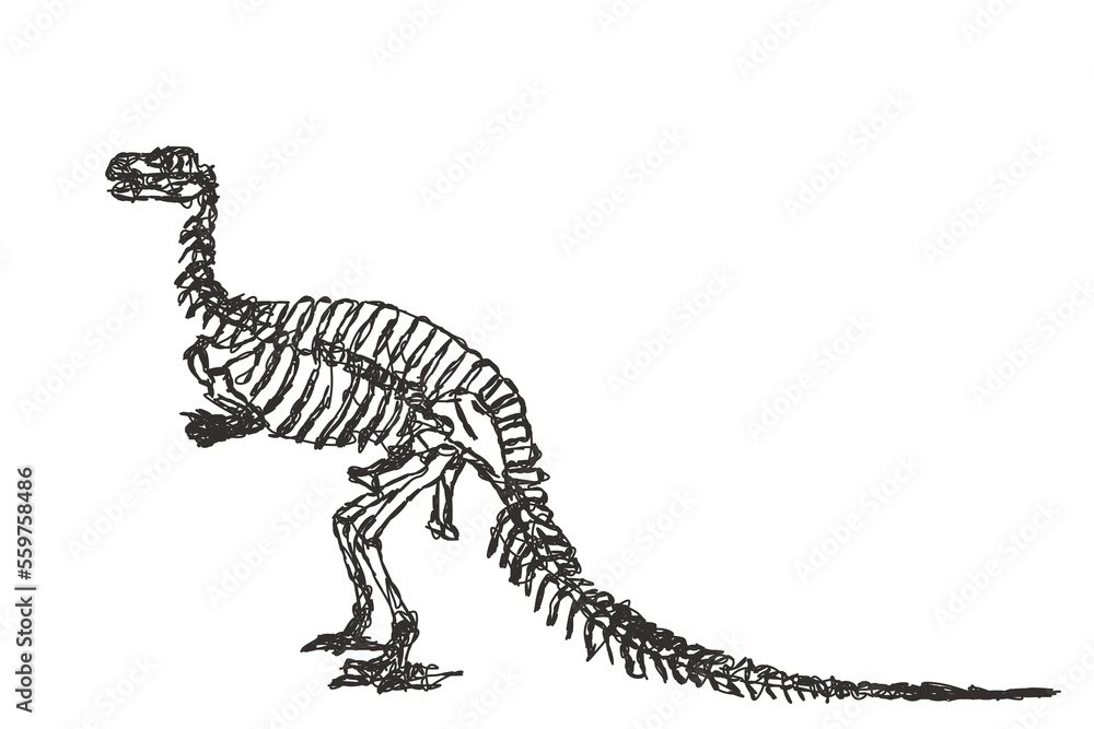 Skeleton of Megalosaurus. Doodle sketch. Vintage vector illustration ...