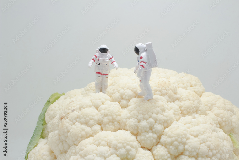 a figures Astronaut on Whole Cauliflower Vegetable Stock Photo | Adobe ...