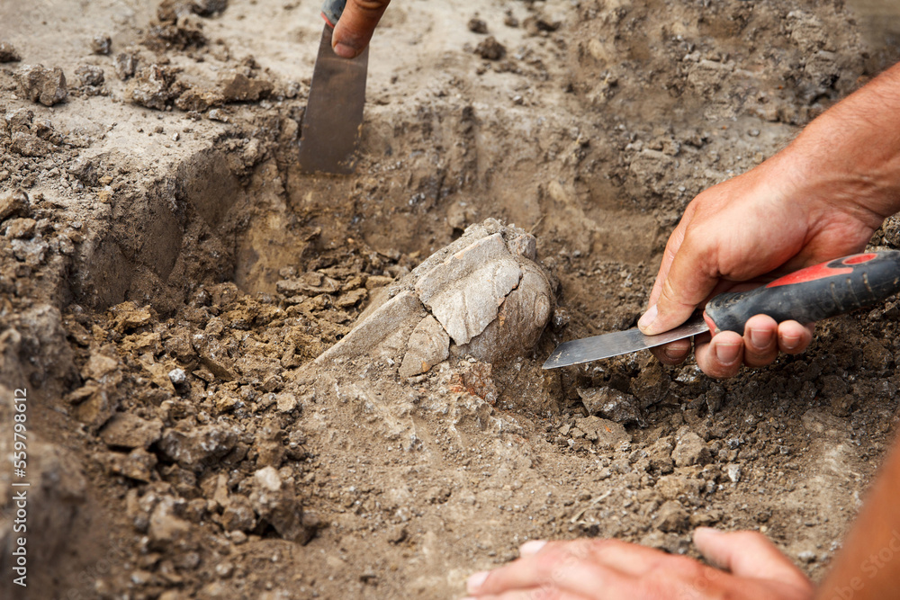 Archaeological excavations, archaeologists work, dig up an ancient clay ...