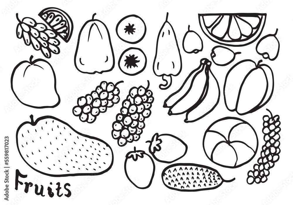 Doodle fruit set. hand drawing of fruits in different styles. Stock ...