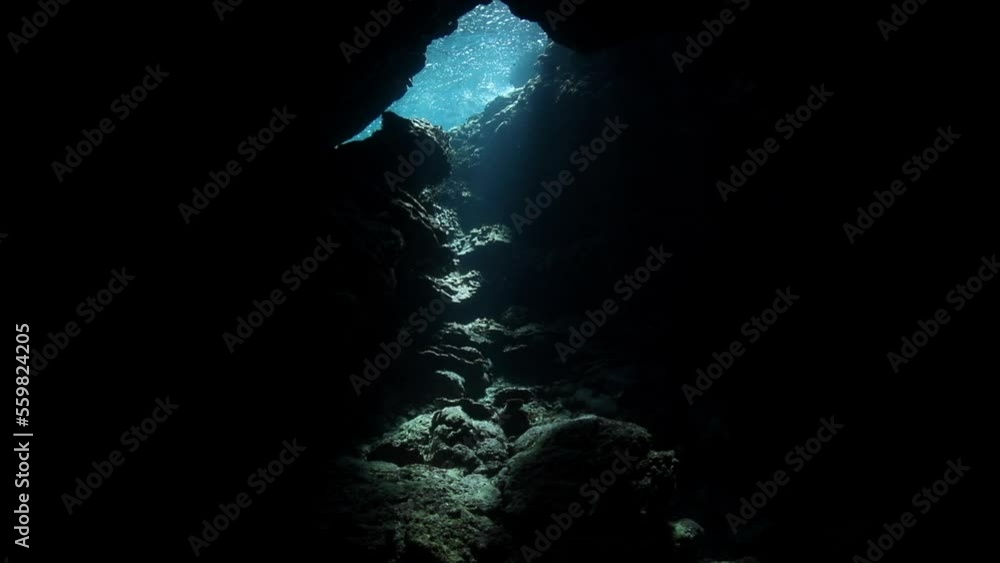 Natural light filters into the dark recesses of a submerged grotto in ...