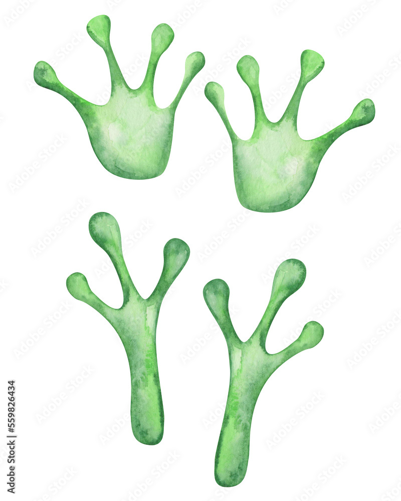 Watercolor illustration. Hand painted green footprints of frog. Toad ...