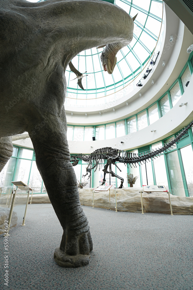 Fotka „Raleigh, NC - USA - 12-20-2022: Dinosaur exhibit at the Museum ...