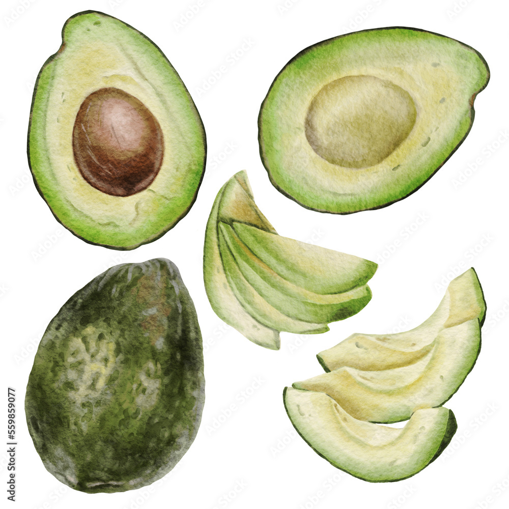 Watercolor avocado clipart Transparent background Png Stock ...