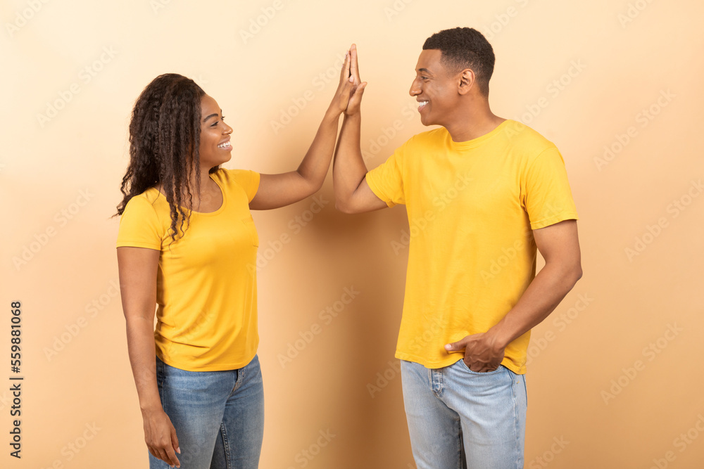 Common success. Excited african american couple giving high-five ...