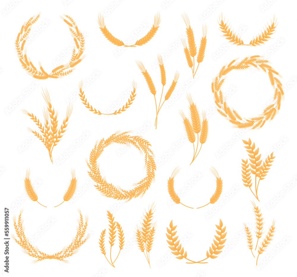 Golden wheat wreaths and ears set. Agricultural organic plant for ...
