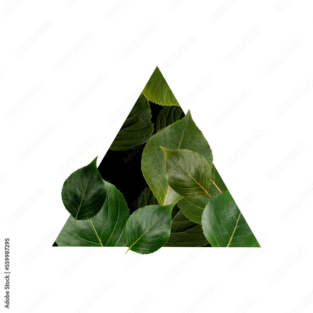 transparent png image of natural green leaves inside the triangle Stock ...
