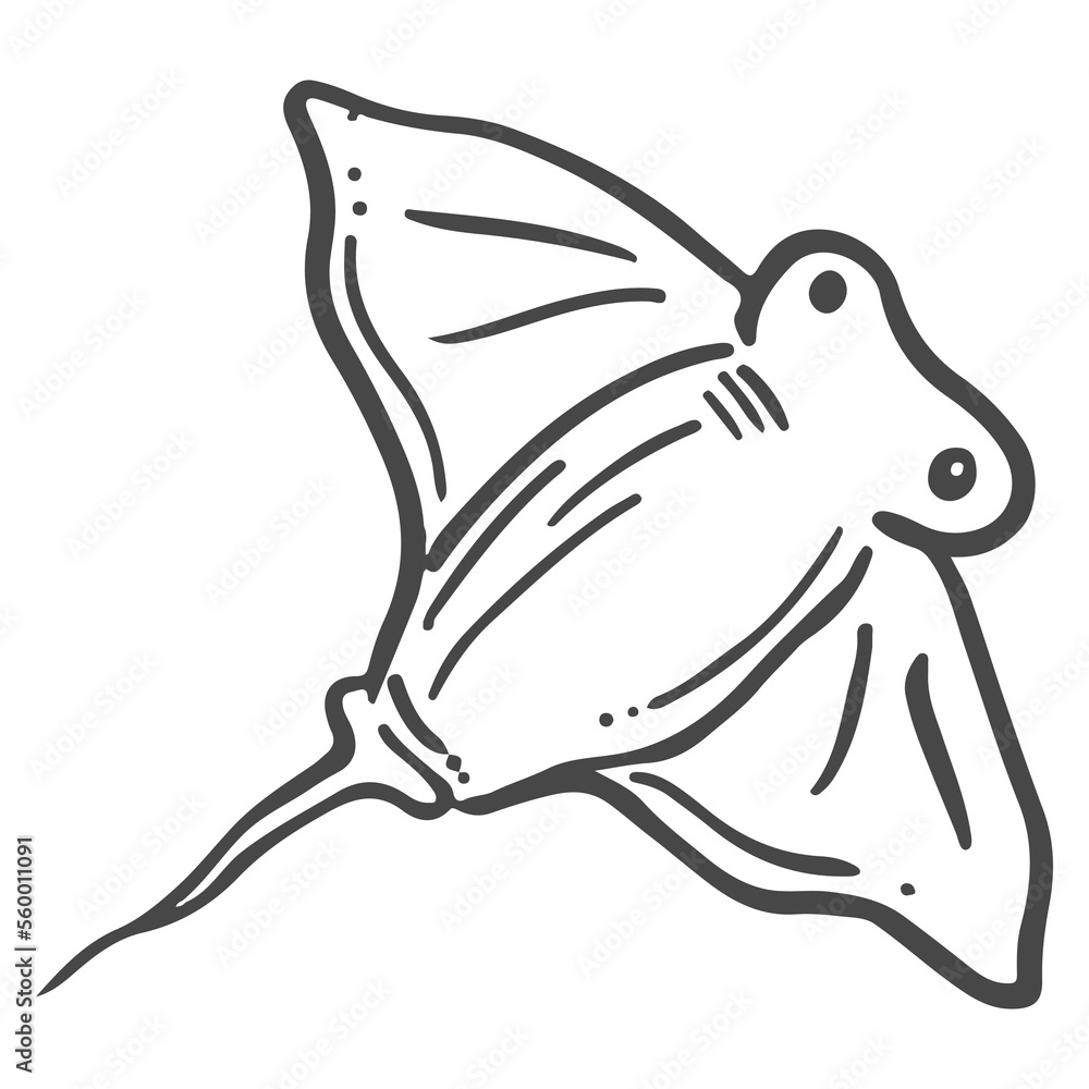skate fish animal in sea hand drawn sketch doodle illustration Stock ...