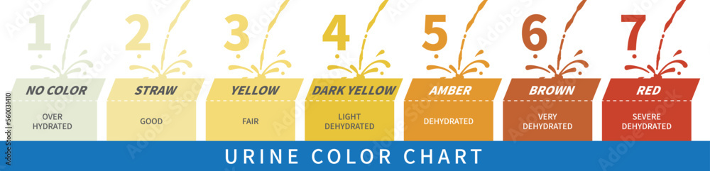 Photo & Art Print Urine color chart with gradients from clear to yellow and orange and even ...