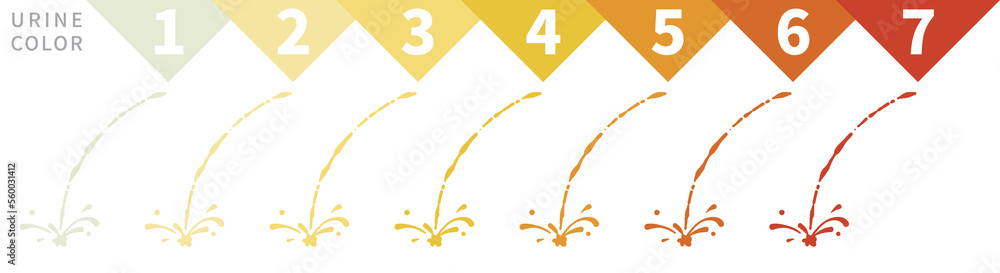 Urine Color Indicator