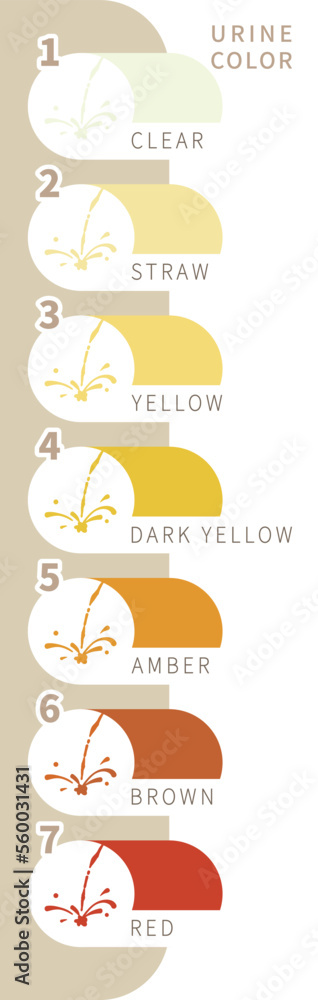Urine color chart with gradients from clear to yellow and orange and ...