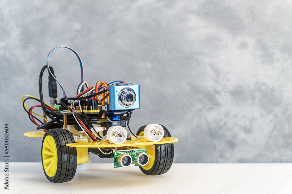 Programmable DIY Robotic two-wheeled vehicle with Obstacle Sensor and ...