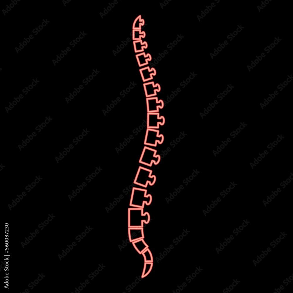 Plakat Neon spine human Spinal Lateral view Vertebras Dorsal vertebrae ...