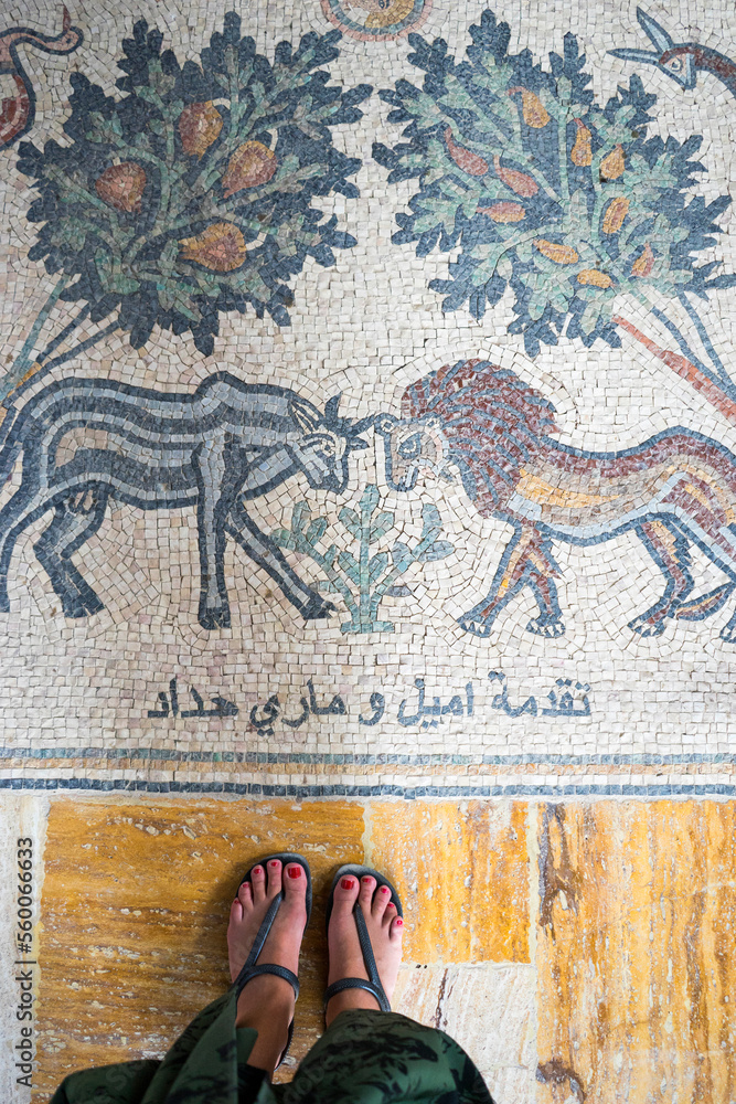 rom the view point of a traveler looking down at an Arabic mosaic on ...