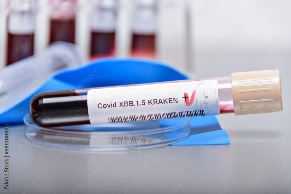 Doctor's hand in blue glove with white paper and text XBB.1.5 Kraken Variant. Concept of medical ...