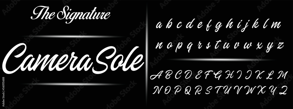 Signature Font Calligraphy Logotype Script Brush Font Type Font ...