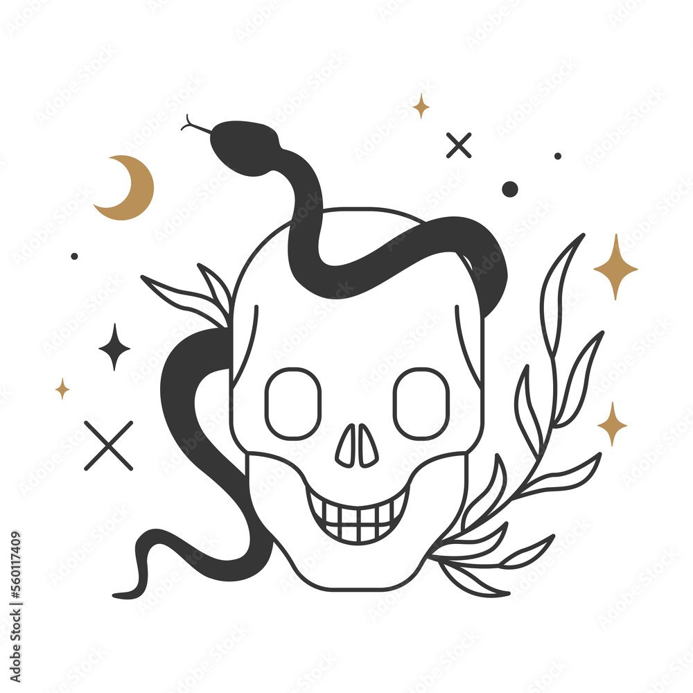 Skull vector illustration isolated on white background. Alchemy ...