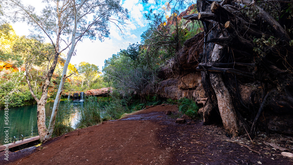 a panorama of fortescue falls in dales gorge in karijini national park ...