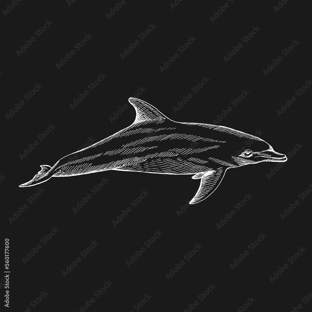 Dolphin. Hand drawn illustration converted to vector. Vector with ...